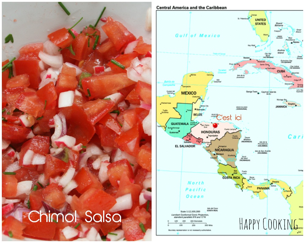 Carne asada y salsa chimol – Happy Cooking