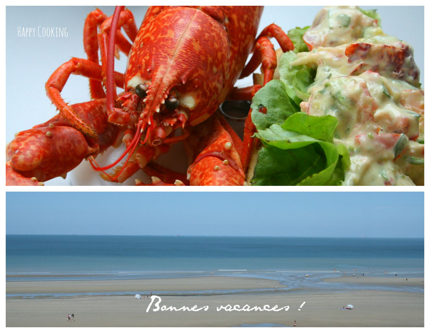 Lobster roll – Sandwich au homard – Happy Cooking