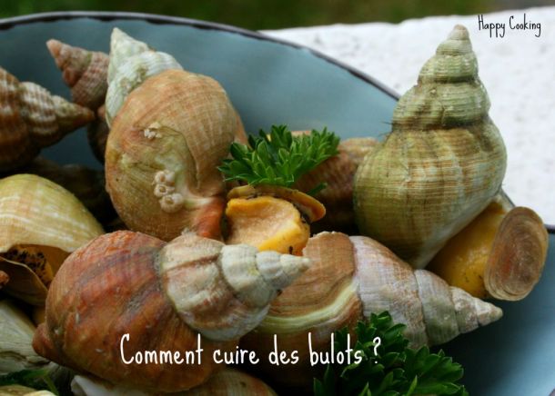 Comment cuire des bulots – Happy Cooking